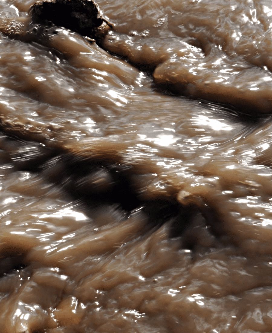 Spiritual Meaning of Dreaming About Muddy Water (Explained)