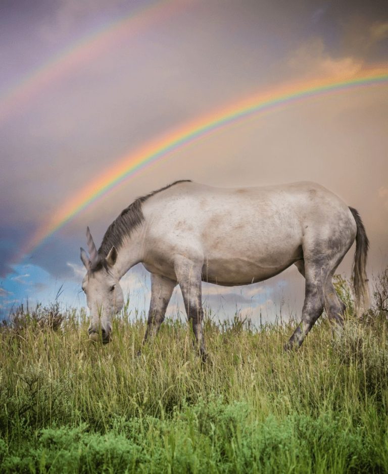 Spiritual Meaning of Unicorn: 7 Reasons to Love Them More